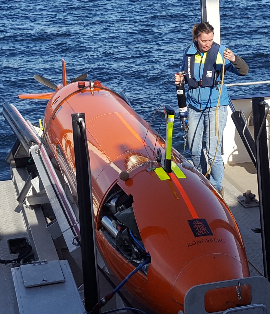 EUROFLEETS+ AUV WORKSHOP / TRAINING – Eurofleets – An alliance of ...